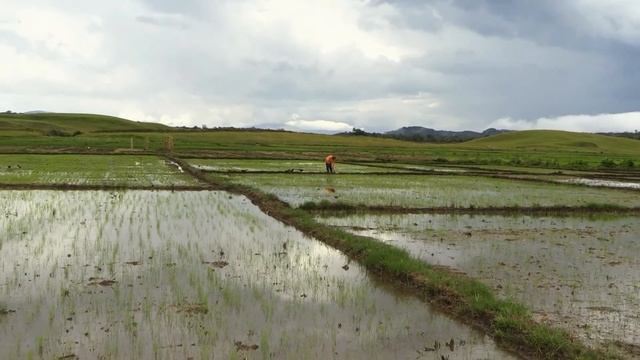 Индонезия. Центральный Сулавеси . В окружении индонезийского спецназа. Труднодоступные места .