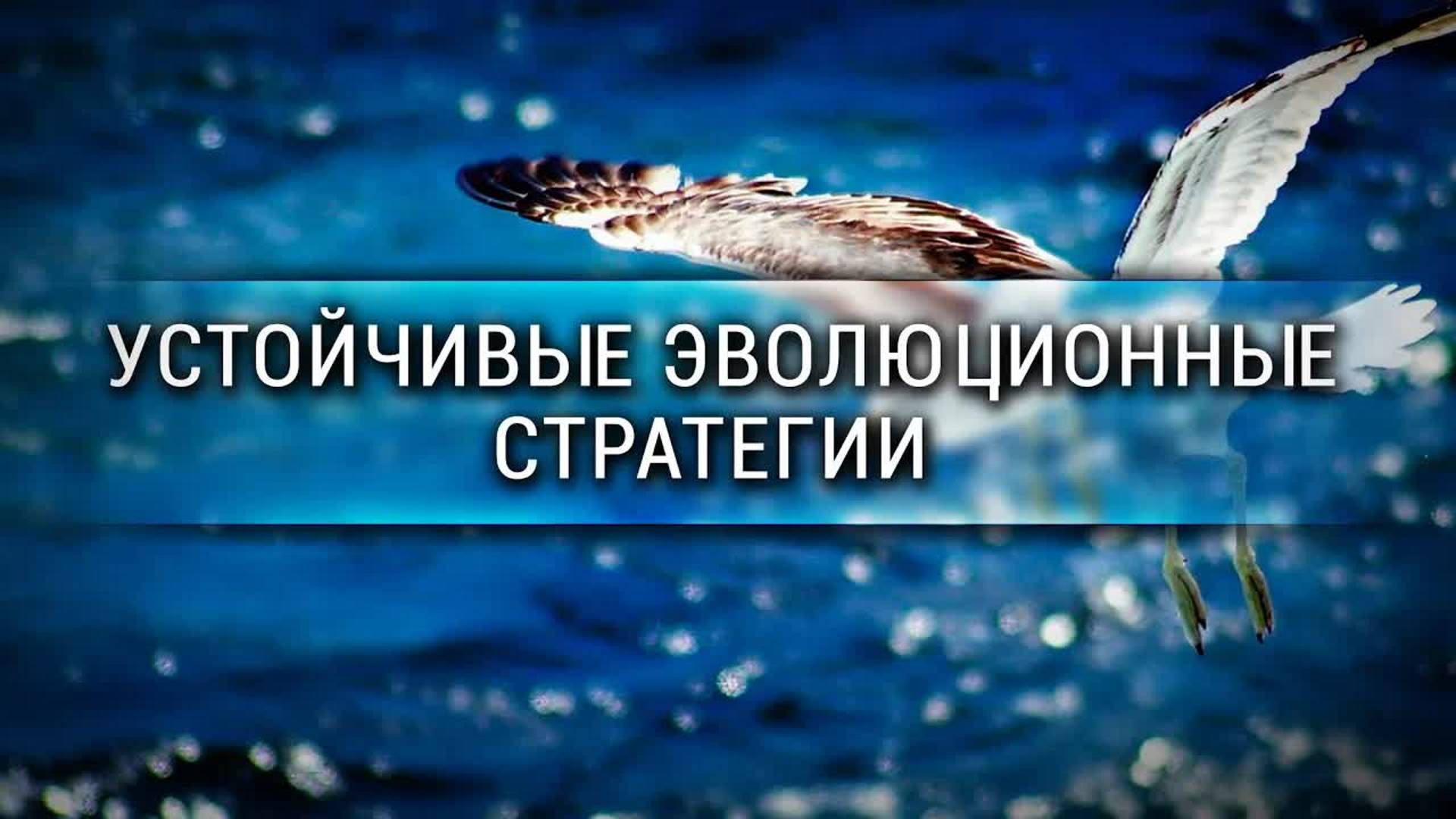 [Veritasium] Устойчивые эволюционные стратегии с Ричардом Докинзом