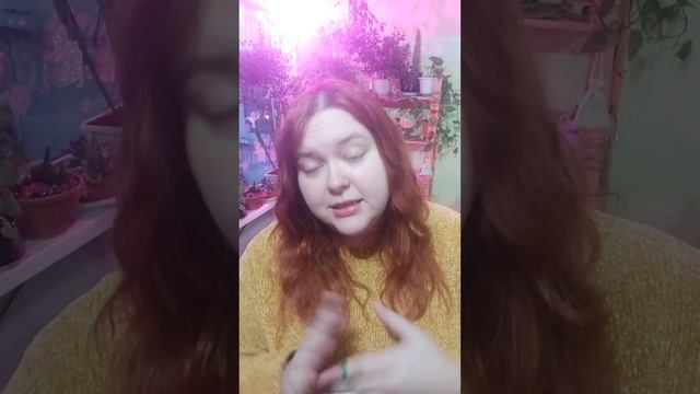 Стереотипы о корейской жизни,  обществе