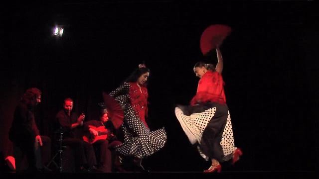 "Flamenco: You Can Do It! - Sevillanas & Fan Dance instant video/DVD with Puela Lunaris