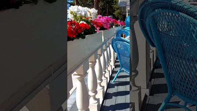 Исторический ресторан на берегу Финского залива "Наша Дача" #рестораныспб #финскийзалив #отпуск