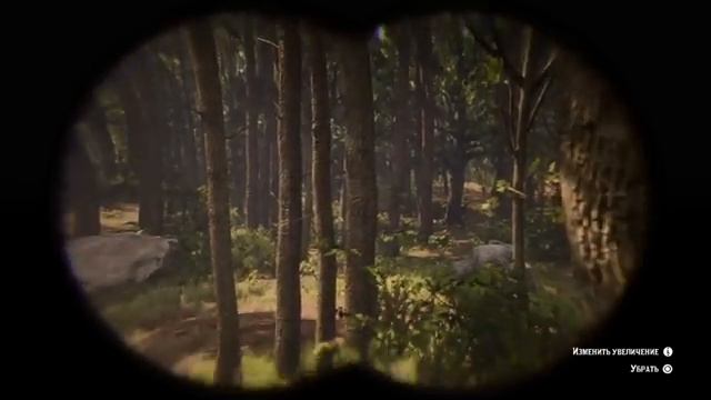 Превосходная Шкура Пантеры. Red Dead Redemption 2.