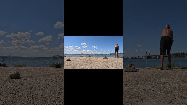 Лобань летний радует