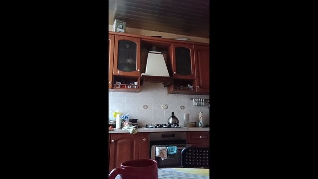 Как готовить наггетсы.