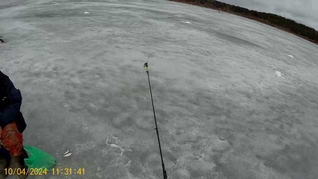Зимняя рыбалка у  деревни Темно-Осиновое 10.4.2024