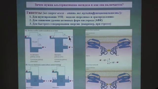 3. Физиология растений 3. Физиология растений I - Носов А. М. Teach-in.