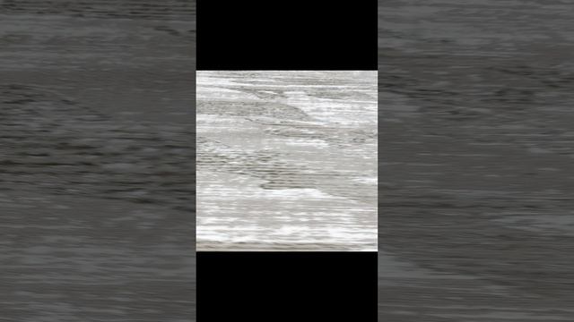 Турецкий ковер на пол 00740A L.GREEN BEIGE овал