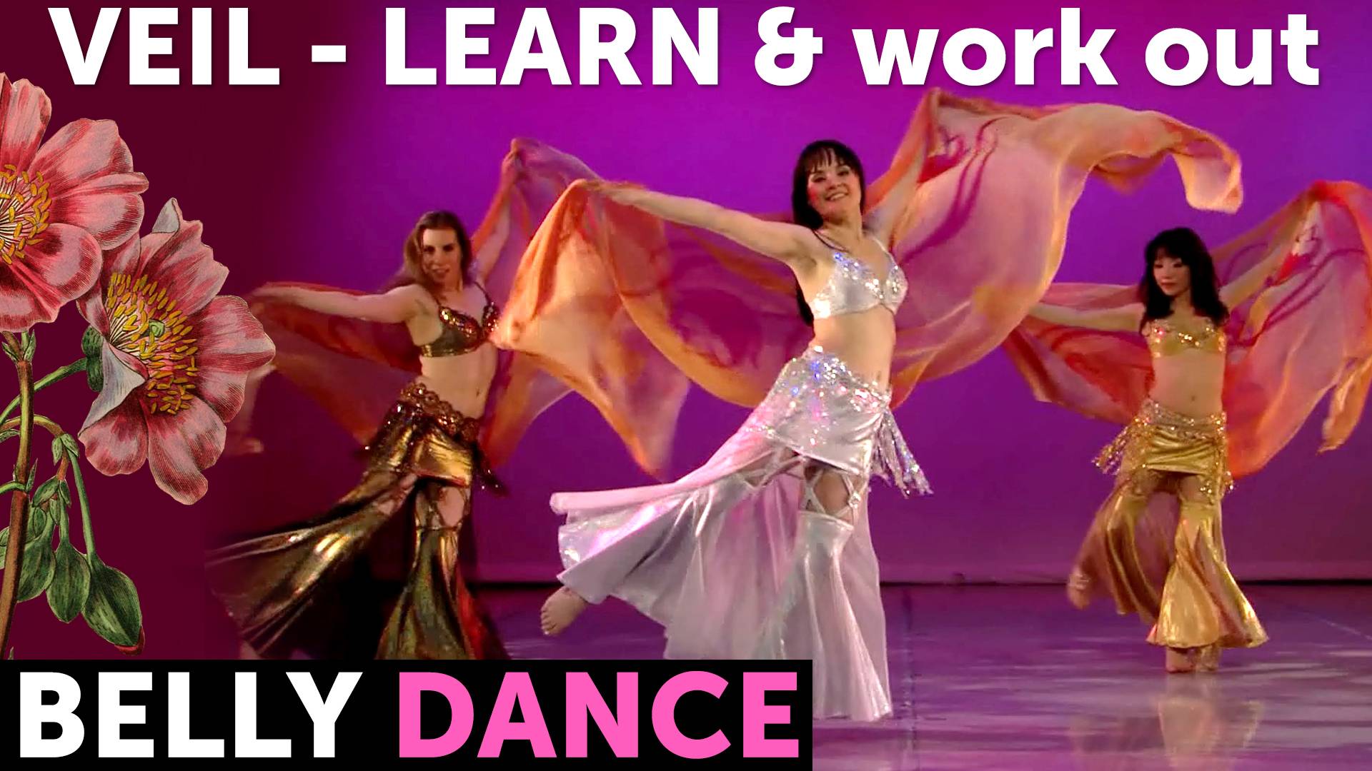 From "Silk - The Belly Dance Veil Workout" INSTANT WORLDWIDE VIDEO at WorldDanceNewYork.com