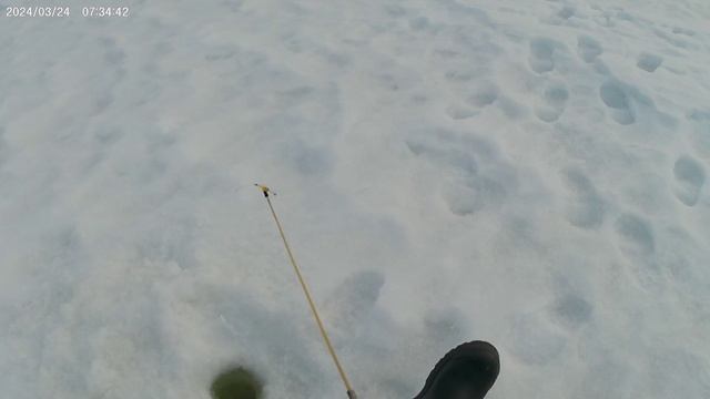 Зимняя рыбалка по последнему льду у деревни Ряжик 24.03.2024