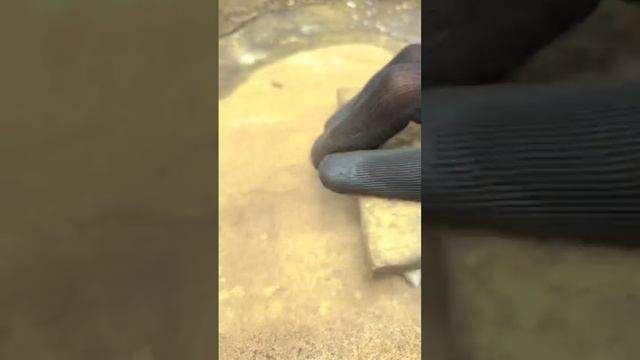 Лайфхак. Розжиг огня с помощью сигареты и тампона #лафхак #выживание #рек