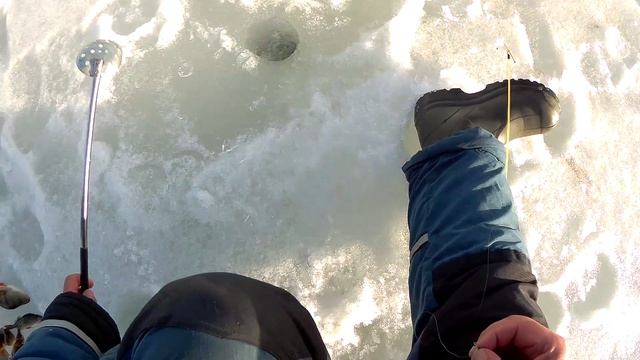 Зимняя рыбалка по последнему льду у деревни Ряжик 04.04.2024