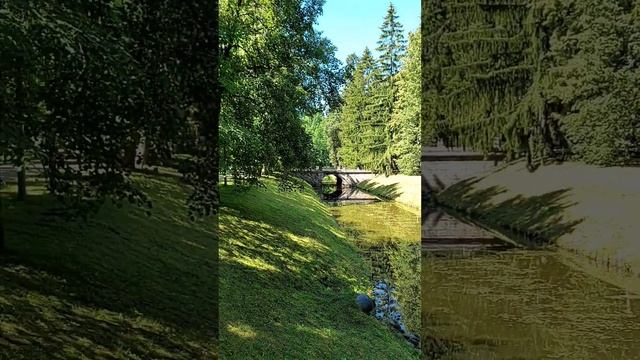 Китайский дворец  в Ораниенбауме. Сказка #петербург #дворец #прогулкапопитеру