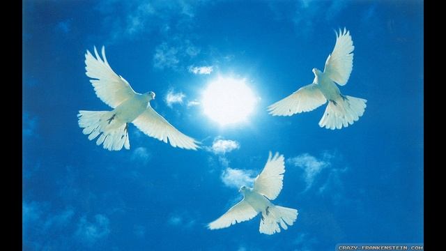 Клип на песню "Привет из детства" - исполняет Светлана Руль.