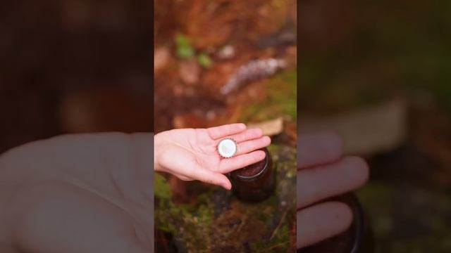 Лайфхак как избавиться от комаров на кемпинге #кемпинг #рек #выживание