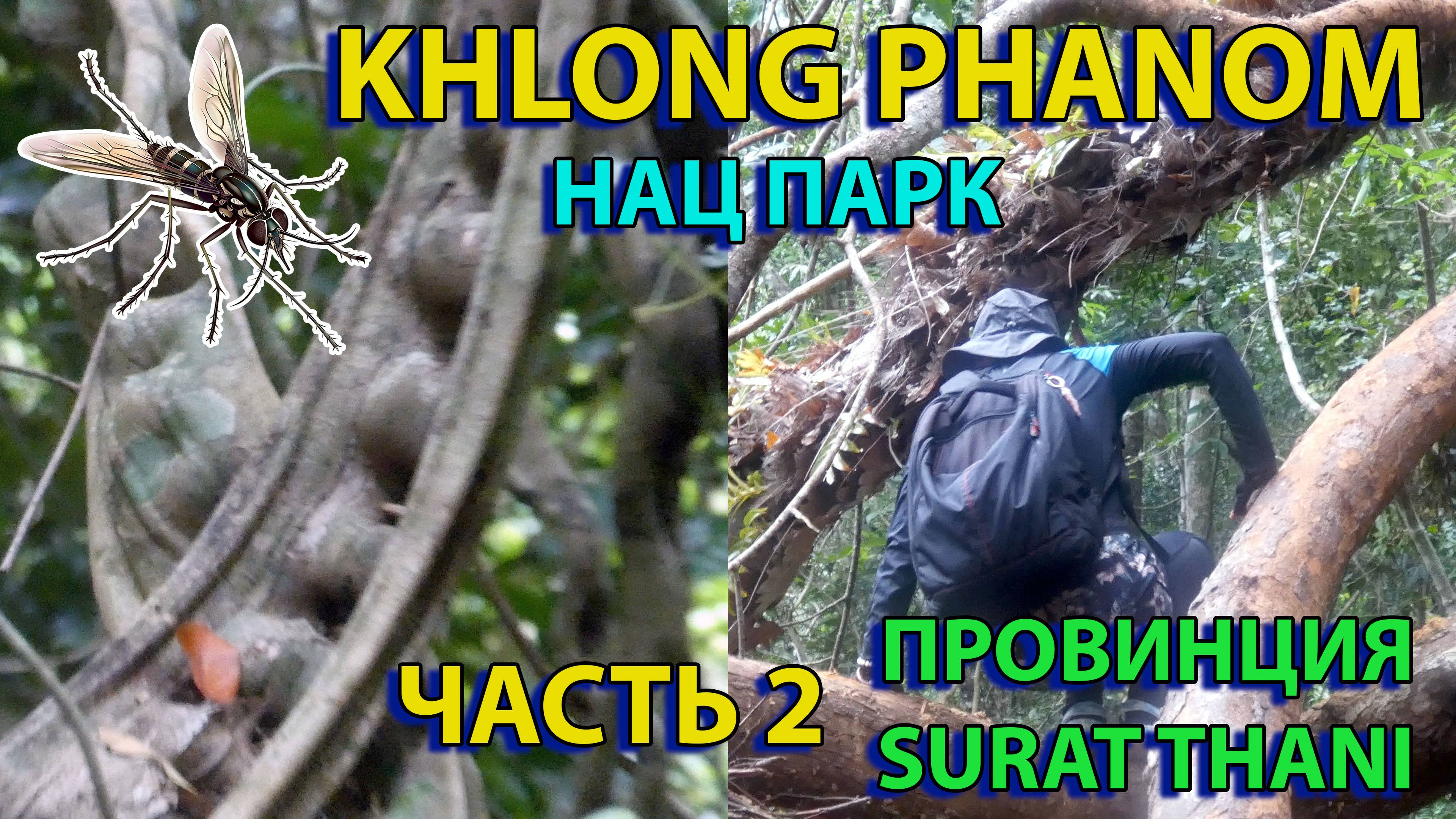 Khlong Phanom бродим по джунглям 2 часть
