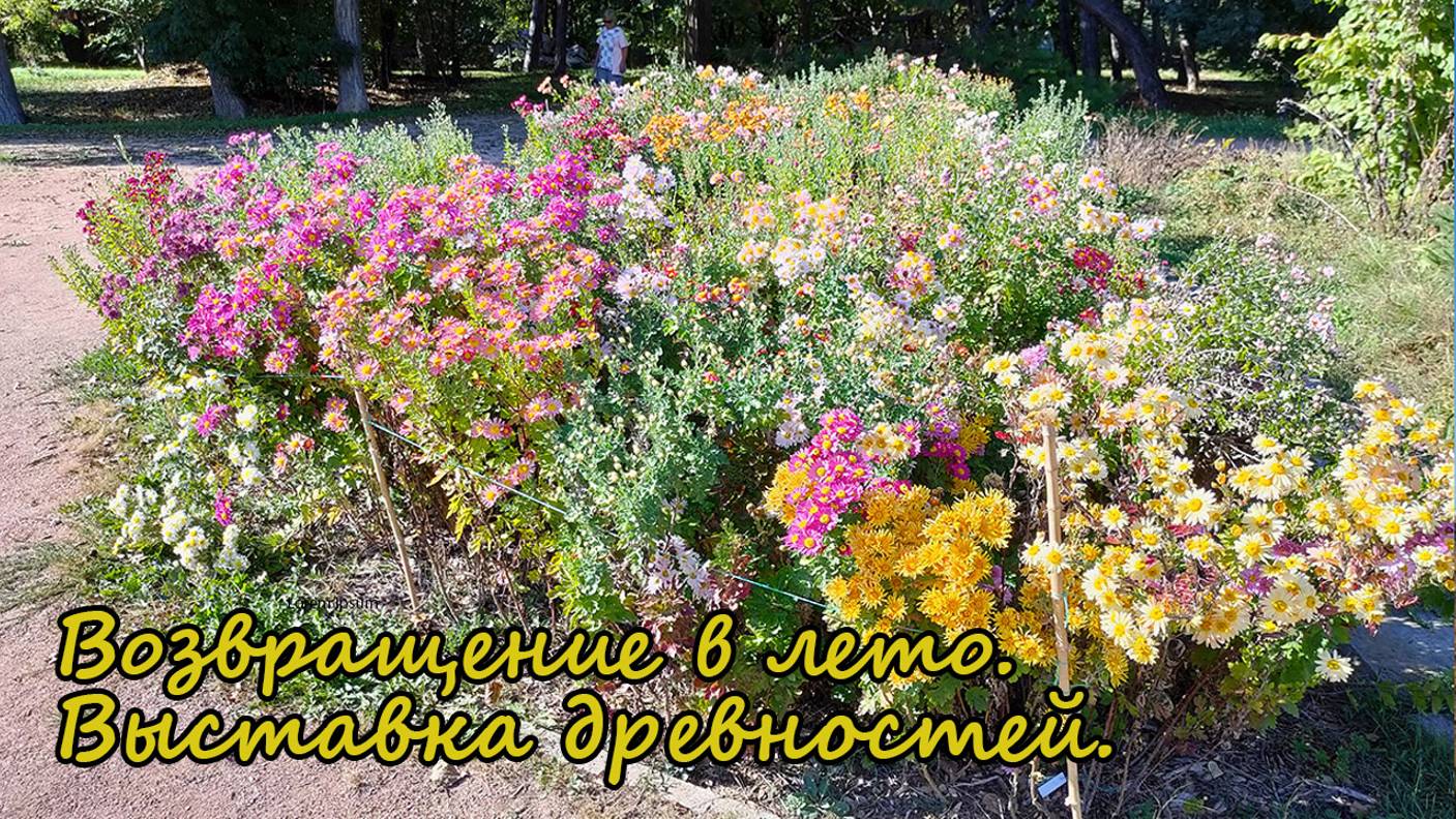 Возвращение в лето. Выставка древностей.