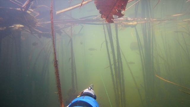 Я, Антон и река. Закрытие сезона. 05.10.2024