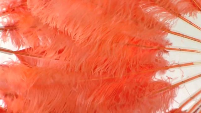 "Birds" - belly dance fantasy music video featuring Tanna Valentine, Nyx Asteria, Neon