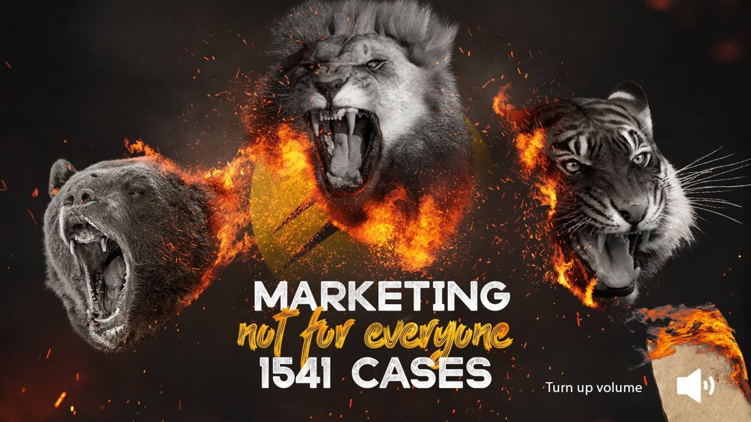 Presentation of the b2b-creative marketing agency. We brought in 69 billion. customers!