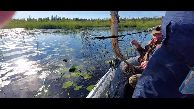 РЫБАЛКА НА ОЗЕРЕ НА СПИННИНГ И САМОЛОВКИ! ЕДЕМ ЗА ЩУКОЙ!