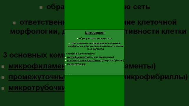Цитоскелет - что это, где это