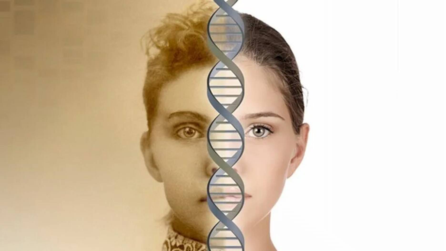 Dna phenotype