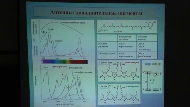 5. Фотосинтез 2. Физиология растений I - Носов А. М. Teach-in.