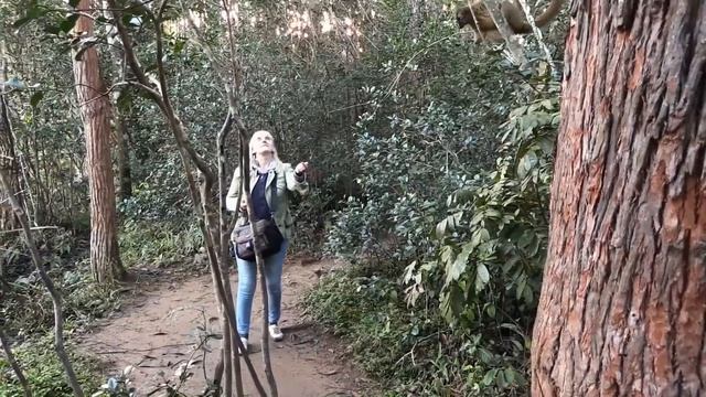 Мадагаскар (Madagascar).  Часть первая. Июнь-июль 2016