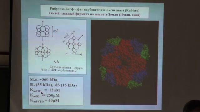 6. Фотосинтез 3. Физиология растений I - Носов А. М. Teach-in.