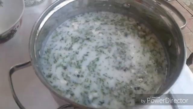 Мастава-холодный суп, чалоп-кисломолочный коктейль!