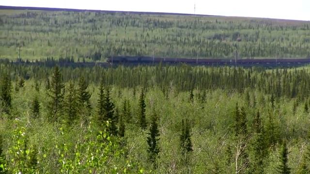 3ТЭ10М 1374 Сивая Маска, Воркутинский район, Республика Коми.