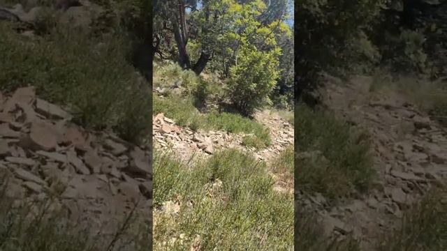 Ретрит на море "Раскрытие потенциала" в сентябре 2024