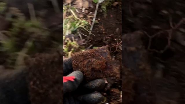 Синявино след СС