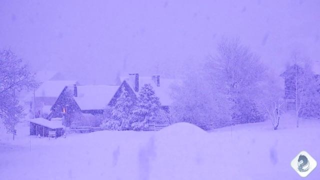 #Зимою_у_камина#Видеоklass#ЖаннаДаценко#НаВолнеМелодии#ЗаснеженнаяЗима#МелодияДуши#