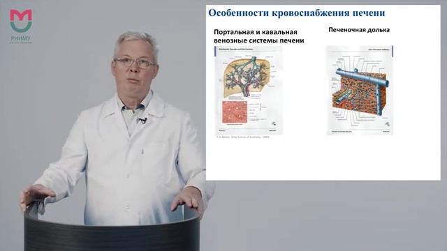 Лекция 11. Понятие коллатеральное кровообращение и сосудистый анастомоз, их классификация