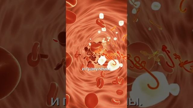 ТОП-3 ОПАСНЫХ БОЛЕЗНИ ДОМАШНИХ ПИТОМЦЕВ #shorts