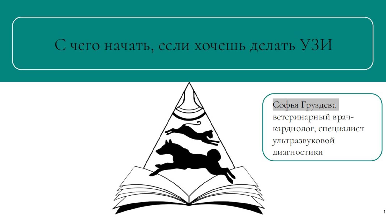 С чего начать, если хочешь делать УЗИ собакам и кошкам | Разбор УЗИ собаки