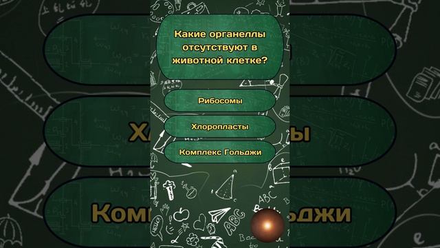 Короткая викторина по теме "Школьная программа" №78 / Тест на эрудицию #викторина #квиз #эрудиция