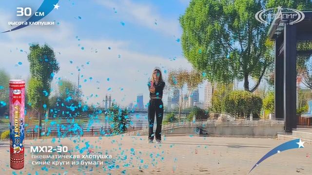 Пневмохлопушка МХ12-30