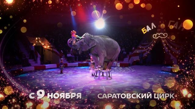 Яркое цирковое шоу «БАЛАГАН» в Саратовском цирке
