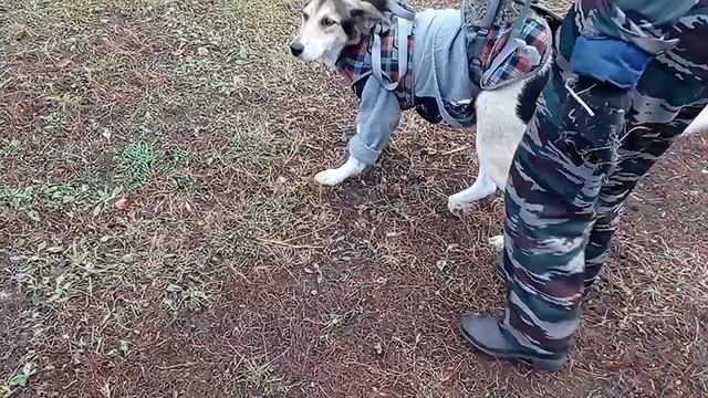 Ну и кто в нас не верил? 😉🤗💪 Стёпушка 🔥💖