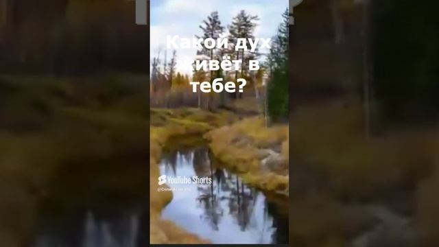 КАК УЗНАТЬ КАКОЙ ДУХ ЖИВЁТ В ТЕБЕ? Прп. Силуан Афонский.