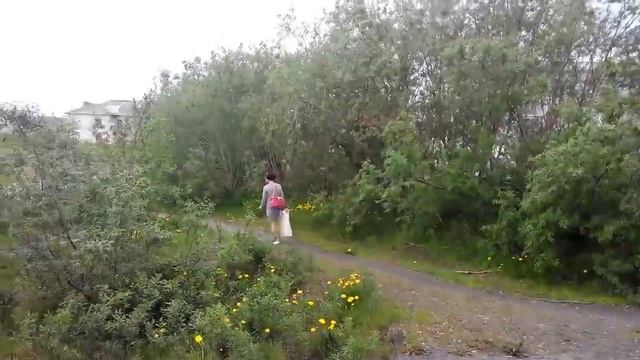 На автобусе с шахты Воркутинской в Воркуту.