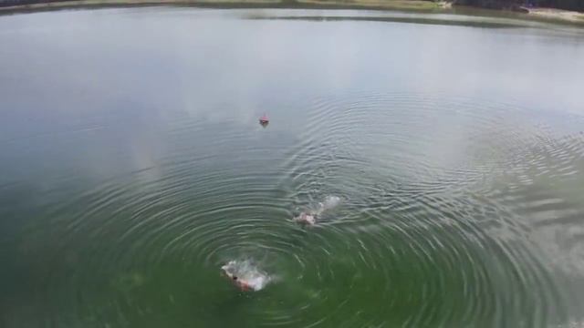 Поведение на воде