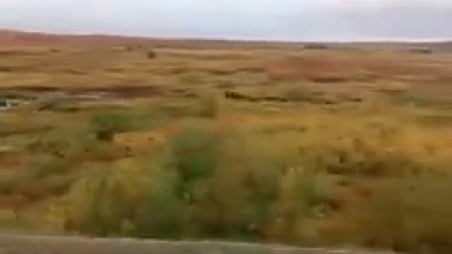 Поезд на Воркуту.