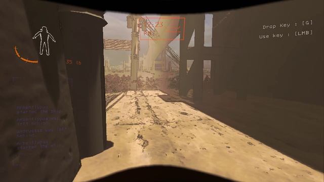 Пионеры в космосе