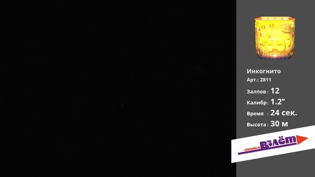 Инкогнито Z811