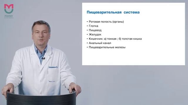 Лекция 17. Введение в спланхнологию. Пищеварительная система - 1