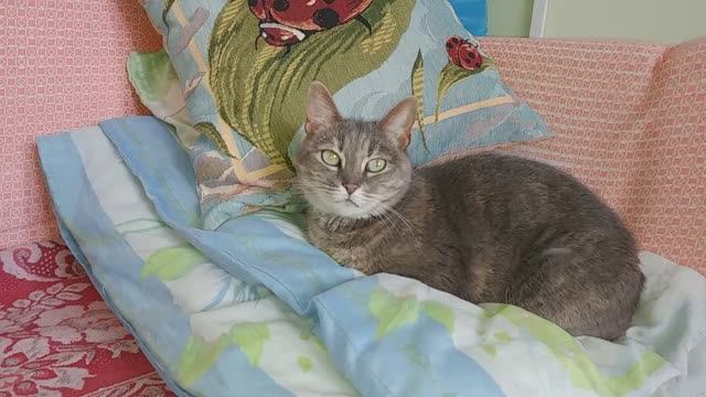 Готовим кефир.