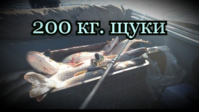 4 месяца в Тайге. Серия 30. Заключительная. Супер рыбалка, 200 кг. Щуки
